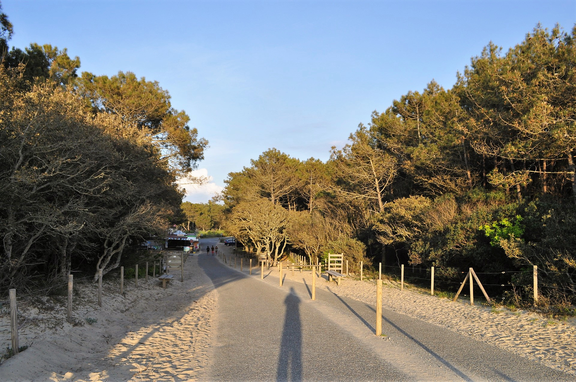 Plage de l'Océan (SOUSTONS) - Bell Vacances